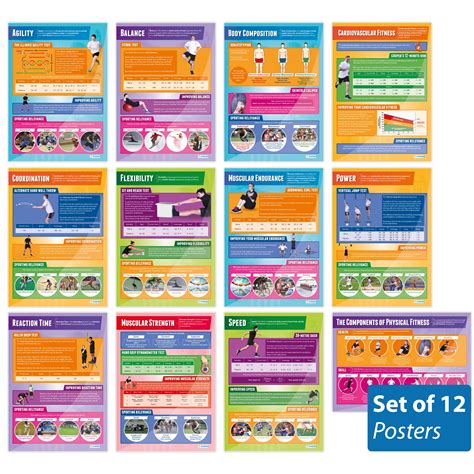 Buy Components Of Physical Fitness S Set Of 12 Pe S Gloss Paper