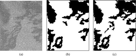 Adaptive Stochastic Minimization For Measuring Marine Oil Spill Extent In Synthetic Aperture