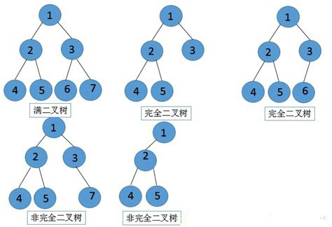 二叉树详解:定义、遍历与操作 Csdn博客 二叉树详解:定义、遍历与操作 Csdn博客