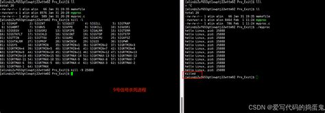【linux进程控制篇】进程的终止 Csdn博客