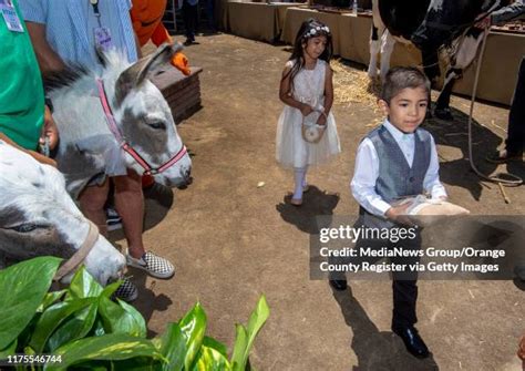 Bran D Photos And Premium High Res Pictures Getty Images