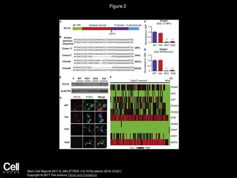 volume 8 issue 2 pages february 2017 ppt download