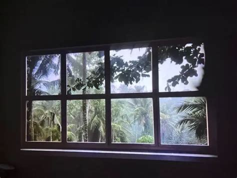 Vb2 Sovboi Projector