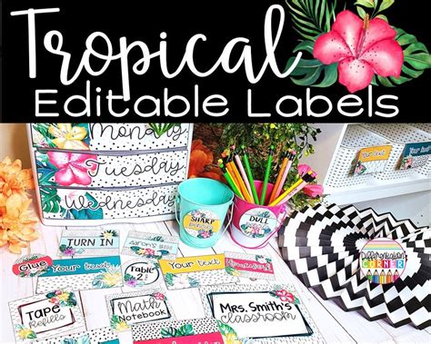 Editable Tropical Classroom Labels Tropical Classroom Decor Tropical