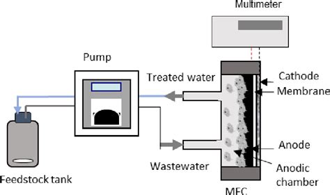 Figure 3 From Effect Of Sludge Age On The Consortium Of Microorganisms