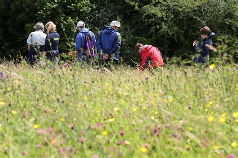 Workshop Creating A Conservation Plan Pont