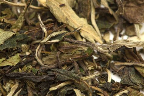 The Four Grades Of Fujian White Tea