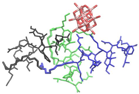Interactions Of Laurylated And Myristoylated Kr12 Fragment Of The Ll37