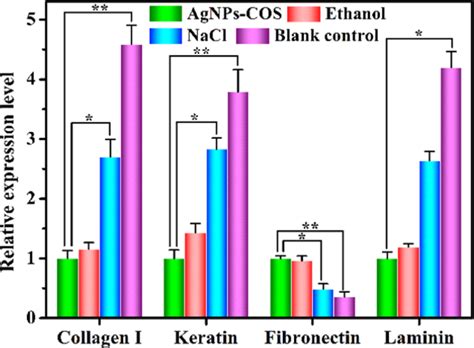 Multivalent And Synergistic Chitosan Oligosaccharide Ag Nanocomposites