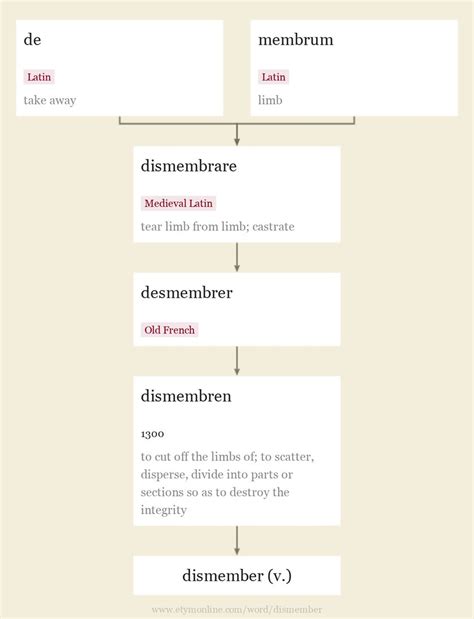 Dismember Etymology Origin And Meaning Of Dismember By Etymonline