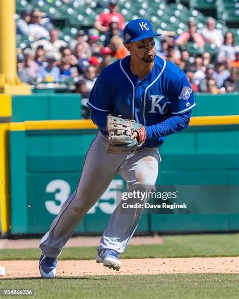 1 449 Cheslor Cuthbert Photos And High Res Pictures Getty Images