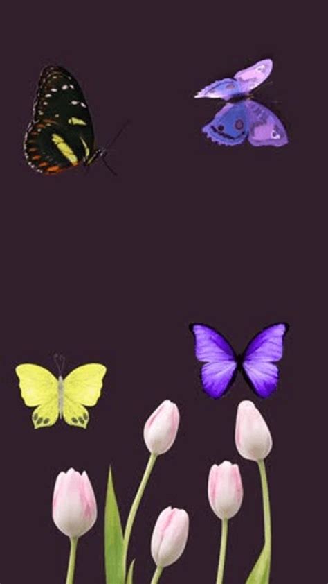 Bee Open Wings Top View Decorated Stock Vector Royalty Free