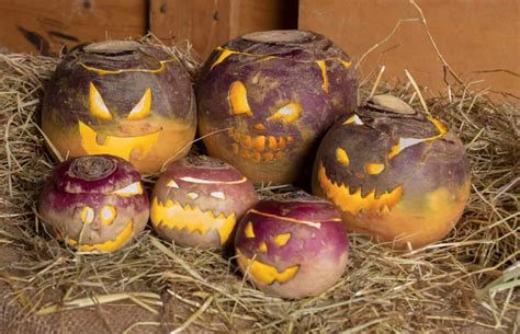A Crafty Workshop Will Show You How To Carve A Spooky Turnip The Og