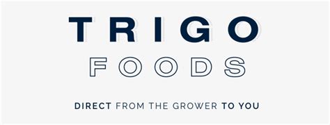 Trigo Square Simple 600x600 Png Download Pngkit