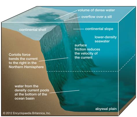 Ocean Floor Labeled Diagram Anatomy And Structure