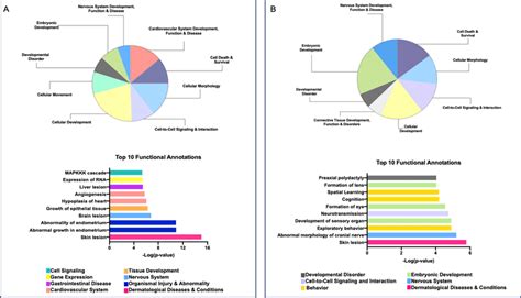 Top Ipa Disease And Functions A Top Pie Chart Of Disease And Download Scientific Diagram