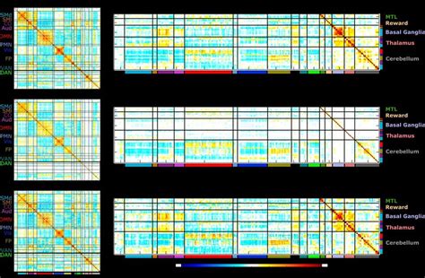 correlation matrices are similar across datasets the full 300 x 300