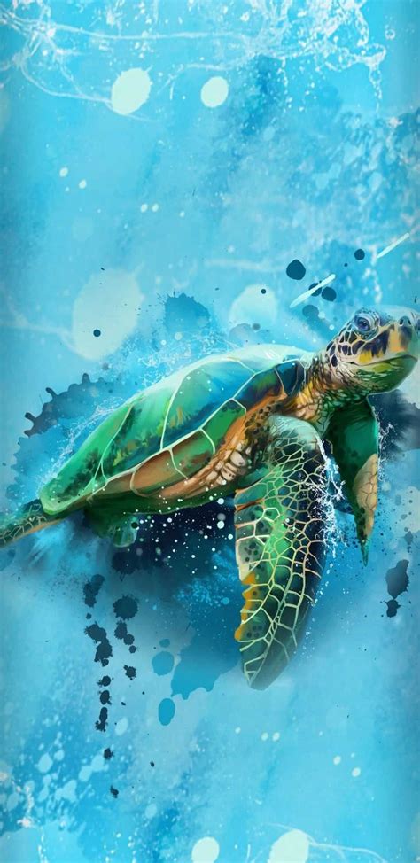 200 Sea Turtle Iphone Wallpapers