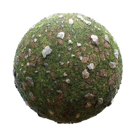 Grass With Mud And Stones Pbr Texture