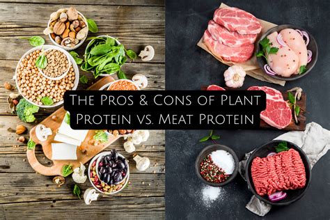 The Pros And Cons Of Plant Protein Vs Meat Protein Kiwla Blog