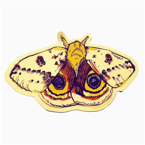 Io Moth Sticker By Blackbird Letterpress — Blackbird Letterpress