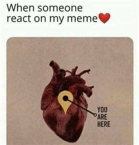 Best Emotional Heart Memes For Sweet And Relatable Reactions 2026 Amj