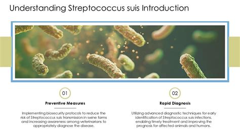 Understanding Streptococcus Suis Causes Symptoms And Treatment Ppt Sample St Ai Ppt Powerpoint