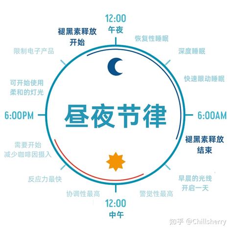 我们为什么需要好的睡眠？ 知乎