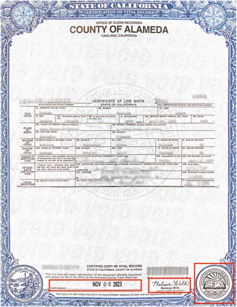 Birth Certificate Apostille Authentication Legalization
