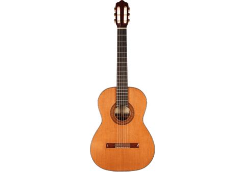 Stefan Nitschke 2010 Lattice Siccas Guitars