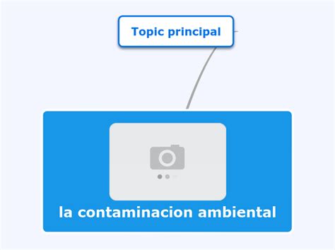 La Contaminacion Ambiental Mind Map