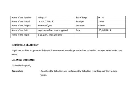 Lesson Template Of Vidhya Pdf