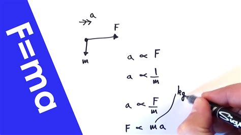 Force Formula Physics
