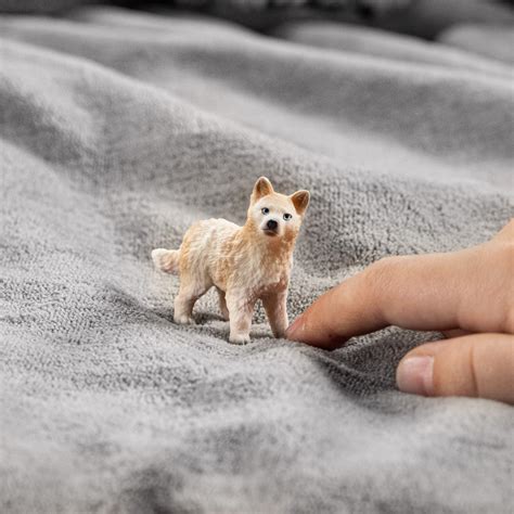 Schleich Arctic Wolf Cub 14881 Schleich Wildlife Toys