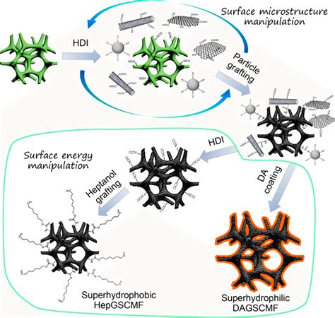 Schematic Illustration Of The Mf Surface Microstructure And Surface