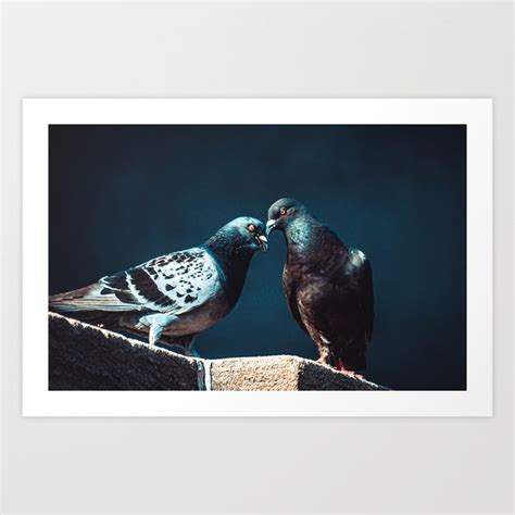 Pigeon Kiss Just A Peck Photograph Art Print By Love Fi Society6