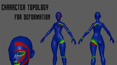 Artstation Character Topology For Deformation Tutorials