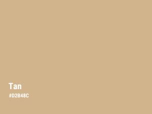 Tan Color Meaning Shades And Color Codes