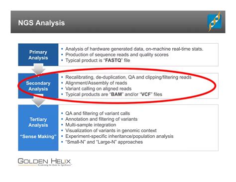 Population Based Dna Variant Analysis Pdf