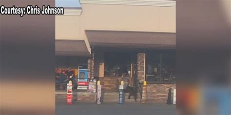 Officials Urge Caution After Bear Sighting At Jane Lew Truck Stop