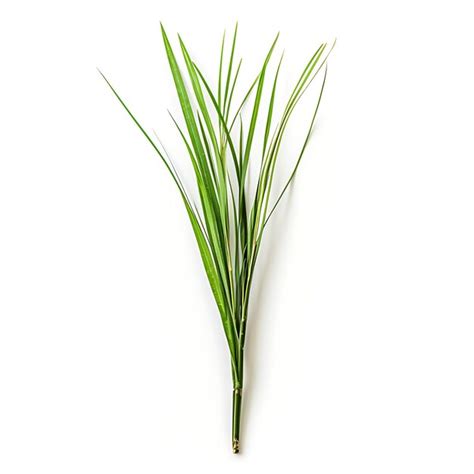 Premium Ai Image Prairie Switchgrass Earthy Green A Single Leaf Long