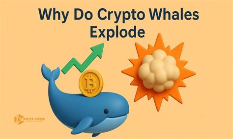Why Does Whales Explode Market Impact Explained Snipe Meme