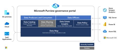Microsoft Purview Data Governance Operating Model