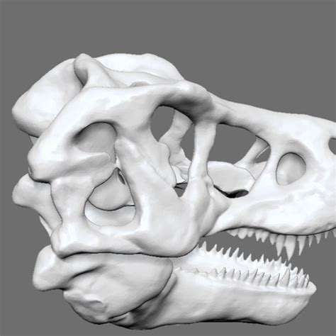 🦖 T Rex Dinosaur Skull 3d Model Ready For 3d Printing・ Stl File For