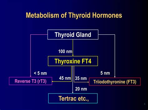 Thyroid Disorders Hyperthyroidism And Hypothyroidism Pdf