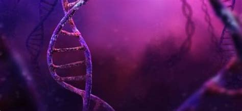 A Ogni Organo Il Suo Epigenoma Le Scienze