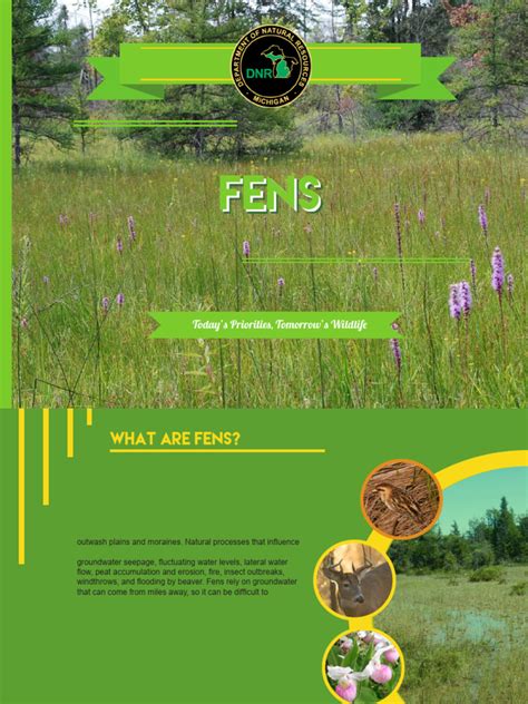 Rmrs Gtr274 Pdf Invasive Species Wetland