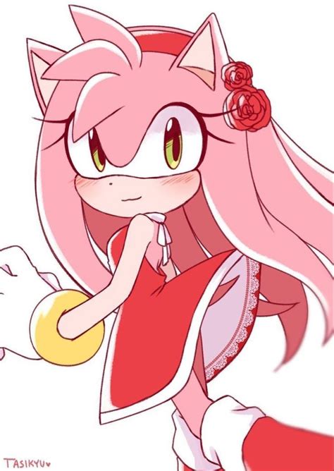 Pin By 🎄inotkilua🎄 On 🌹amy Rose 🌹 Amy Rose Hedgehog Super Amy Rose