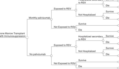 Decision Analysis Model Designed For This Study Square Signifies