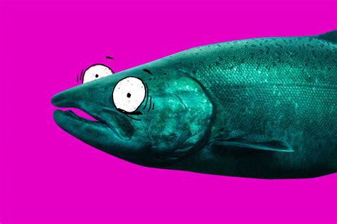 Are Salmon Sperm Facials Really Good For Your Skin Los Angeles Times